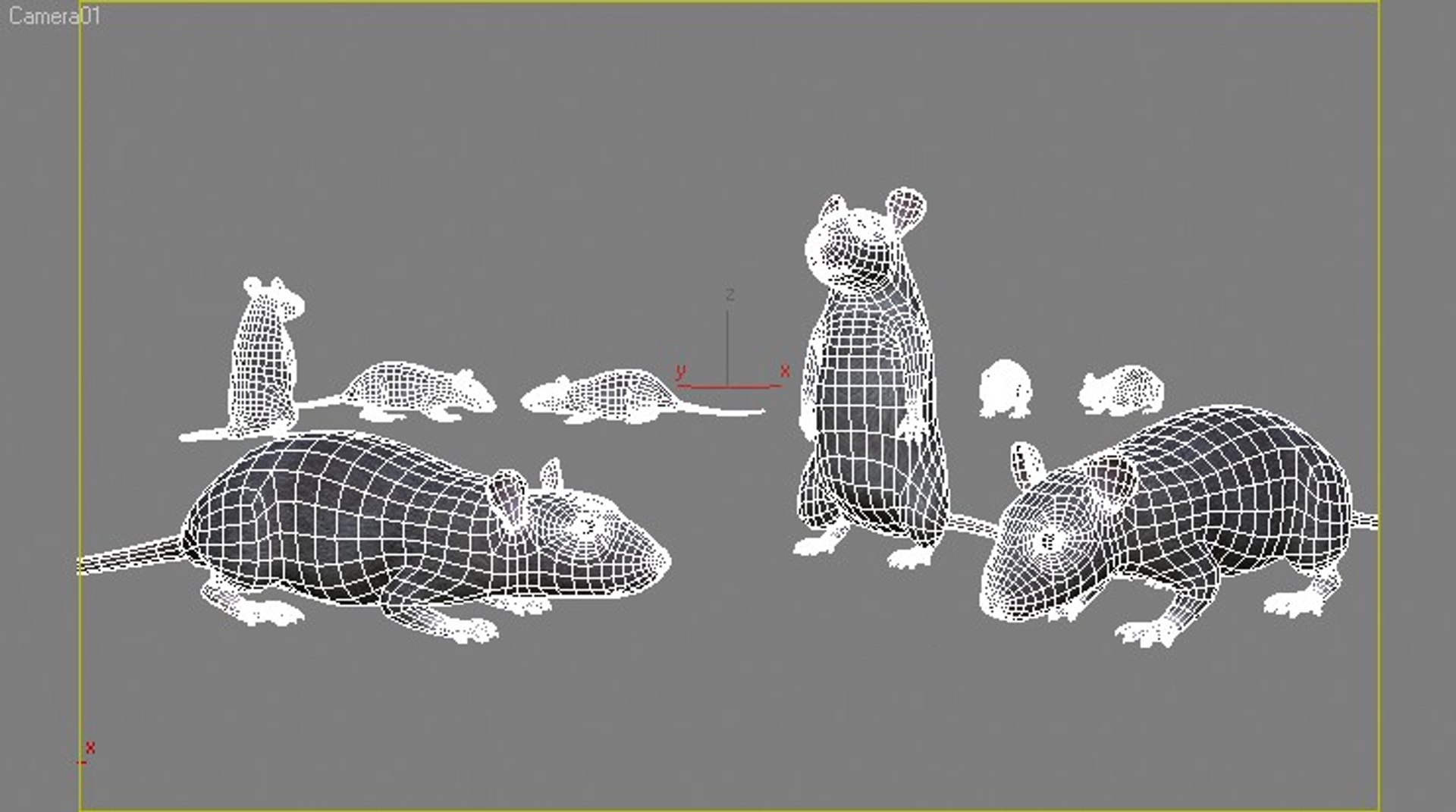 3d Rat Model