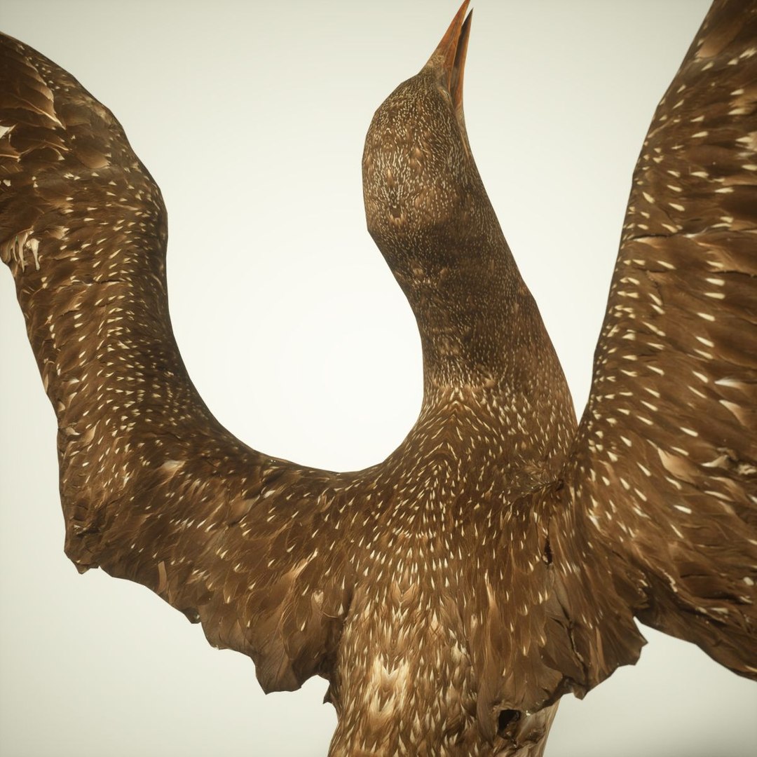 3D animal digital photogrammetry - TurboSquid 1163025