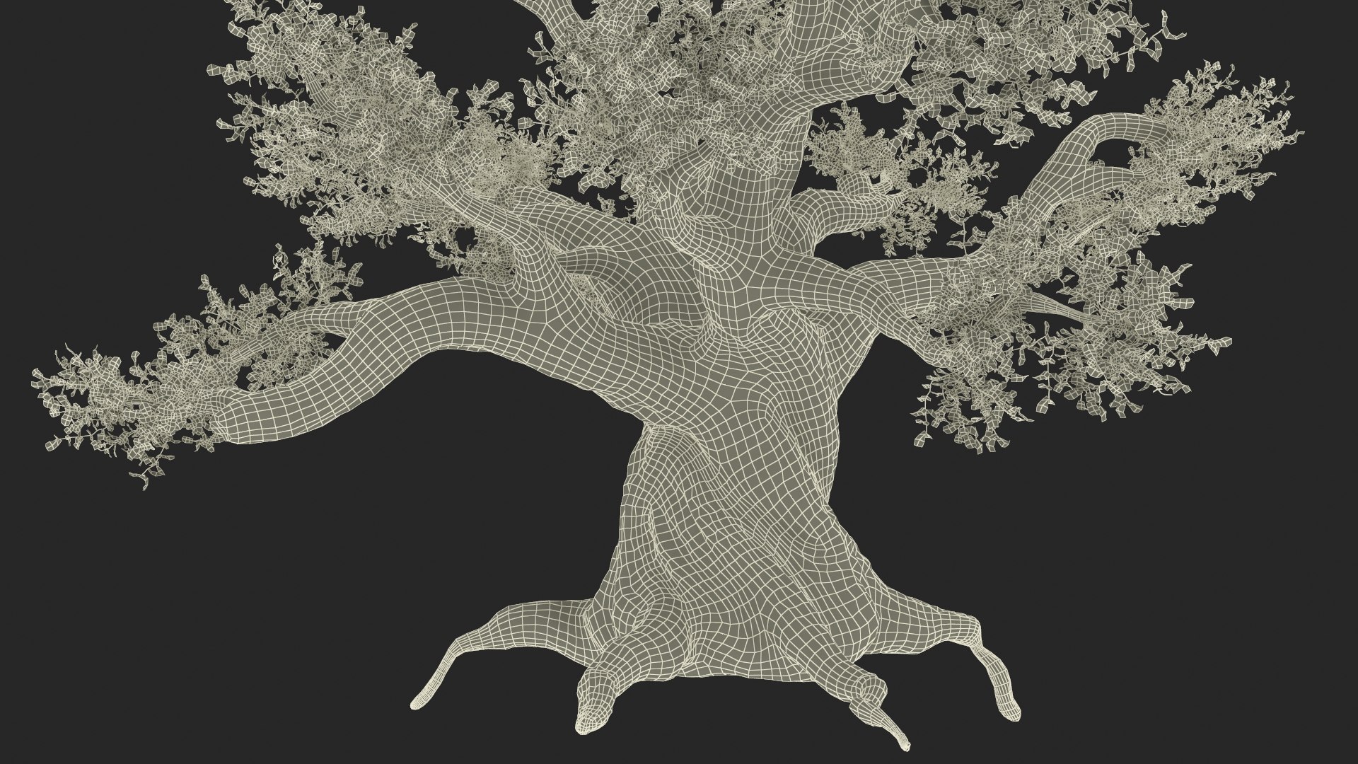 Ancient Twisted Oak Tree 3D Model - TurboSquid 2365537