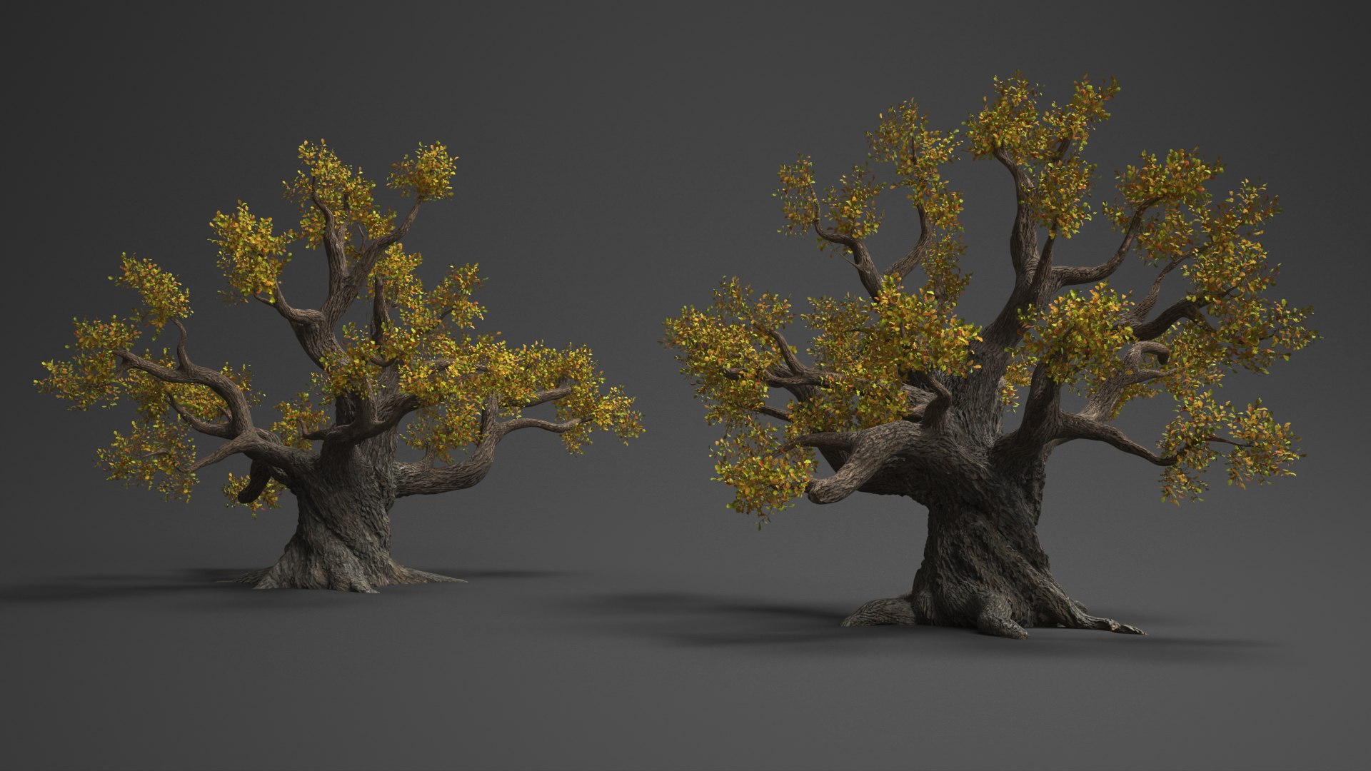 Ancient Twisted Oak Tree 3D Model - TurboSquid 2365537