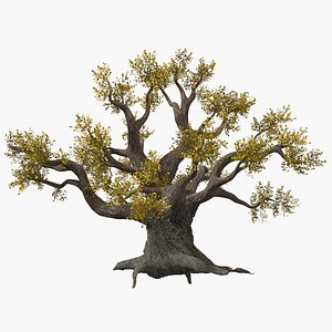 3D Tree Twisted Models - Browse & Download Formats - TurboSquid