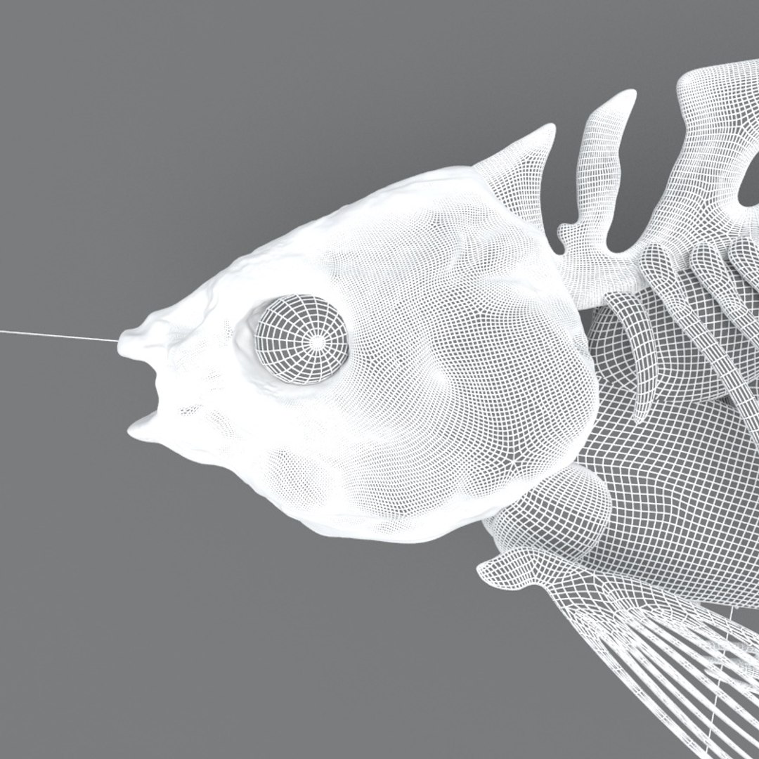 Fish bones viscera 3D model - TurboSquid 1495639