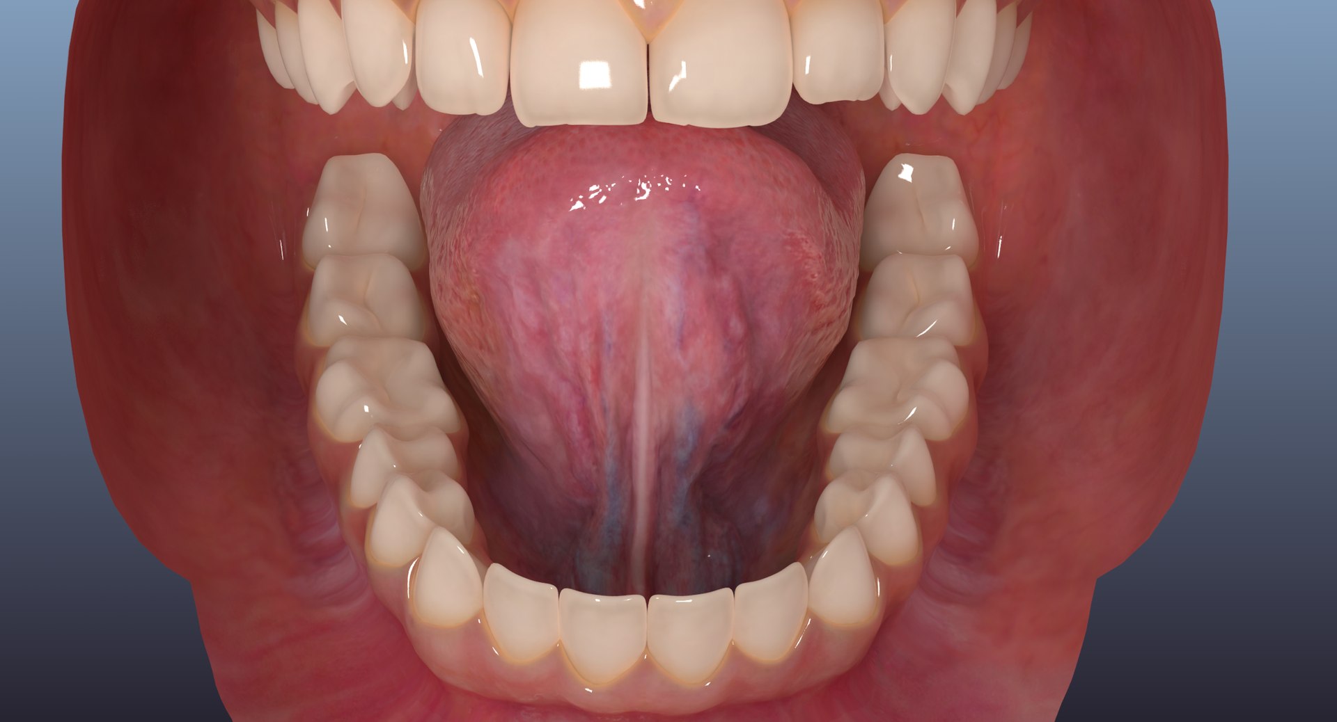 3D Mouth Gums Cheeks - TurboSquid 1471564