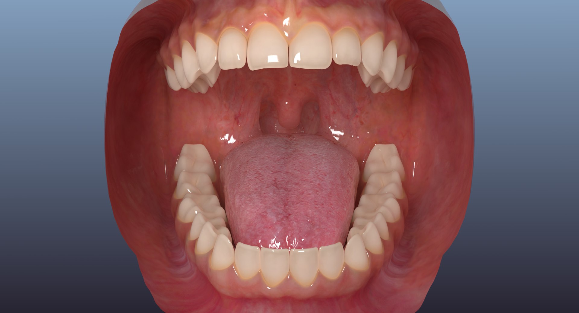 3D Mouth Gums Cheeks - TurboSquid 1471564