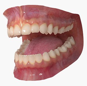 mouth realistic 3d obj