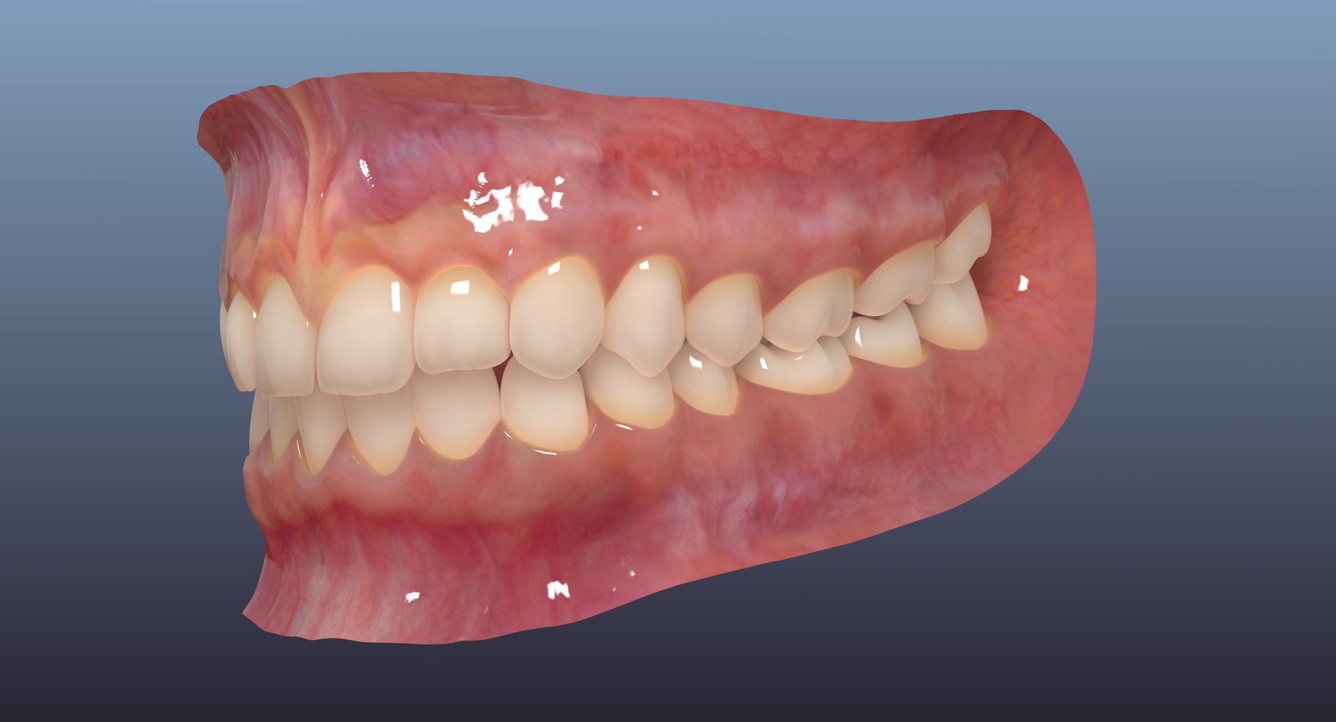 3D Mouth Gums Cheeks - TurboSquid 1471564