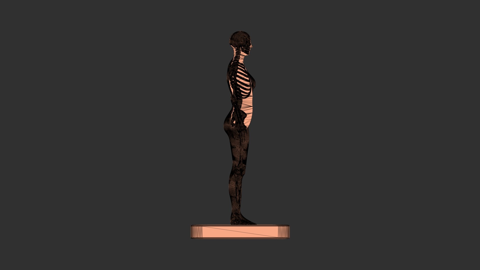 Female Skeleton 3d Print 3D Model - TurboSquid 1922976