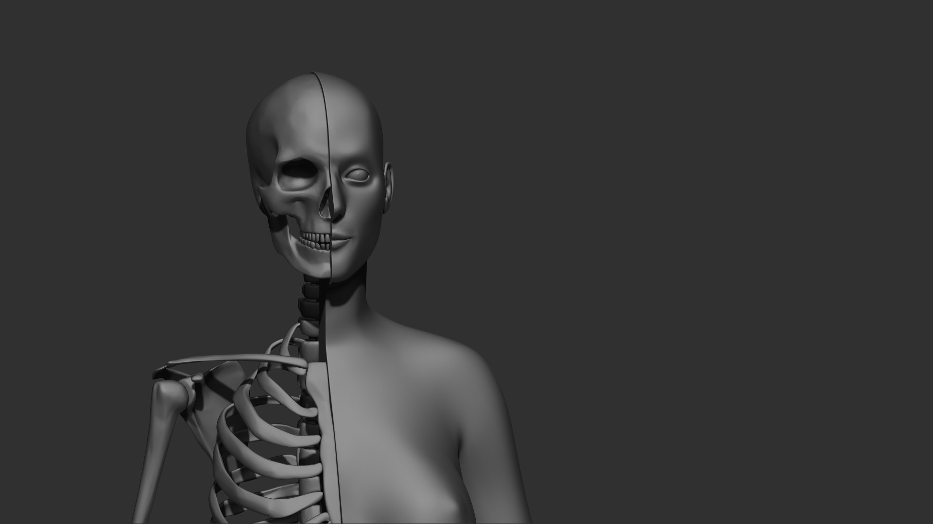 Female Skeleton 3d Print 3D Model - TurboSquid 1922976