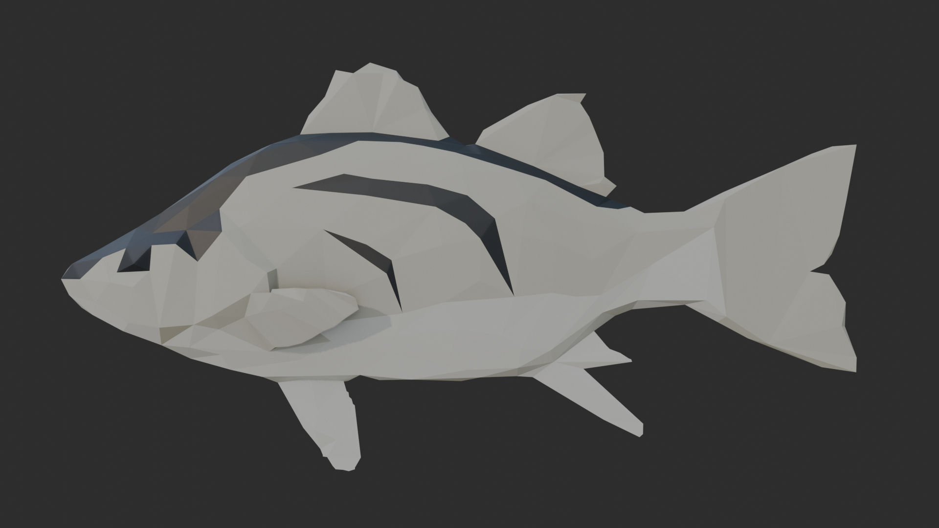 LowPoly White Bass Rigged Animated Model - TurboSquid 2387471