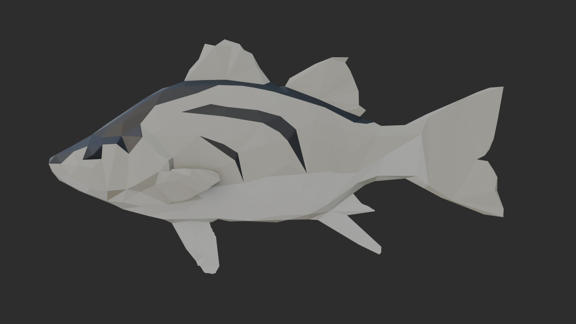 LowPoly White Bass Rigged Animated Model - TurboSquid 2387471