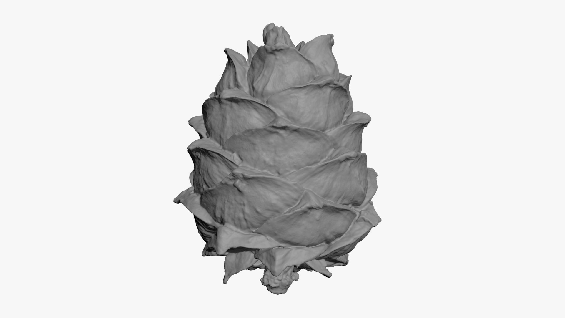 Pine Nut Taiga 01 3D Print 3D Model - TurboSquid 2288125