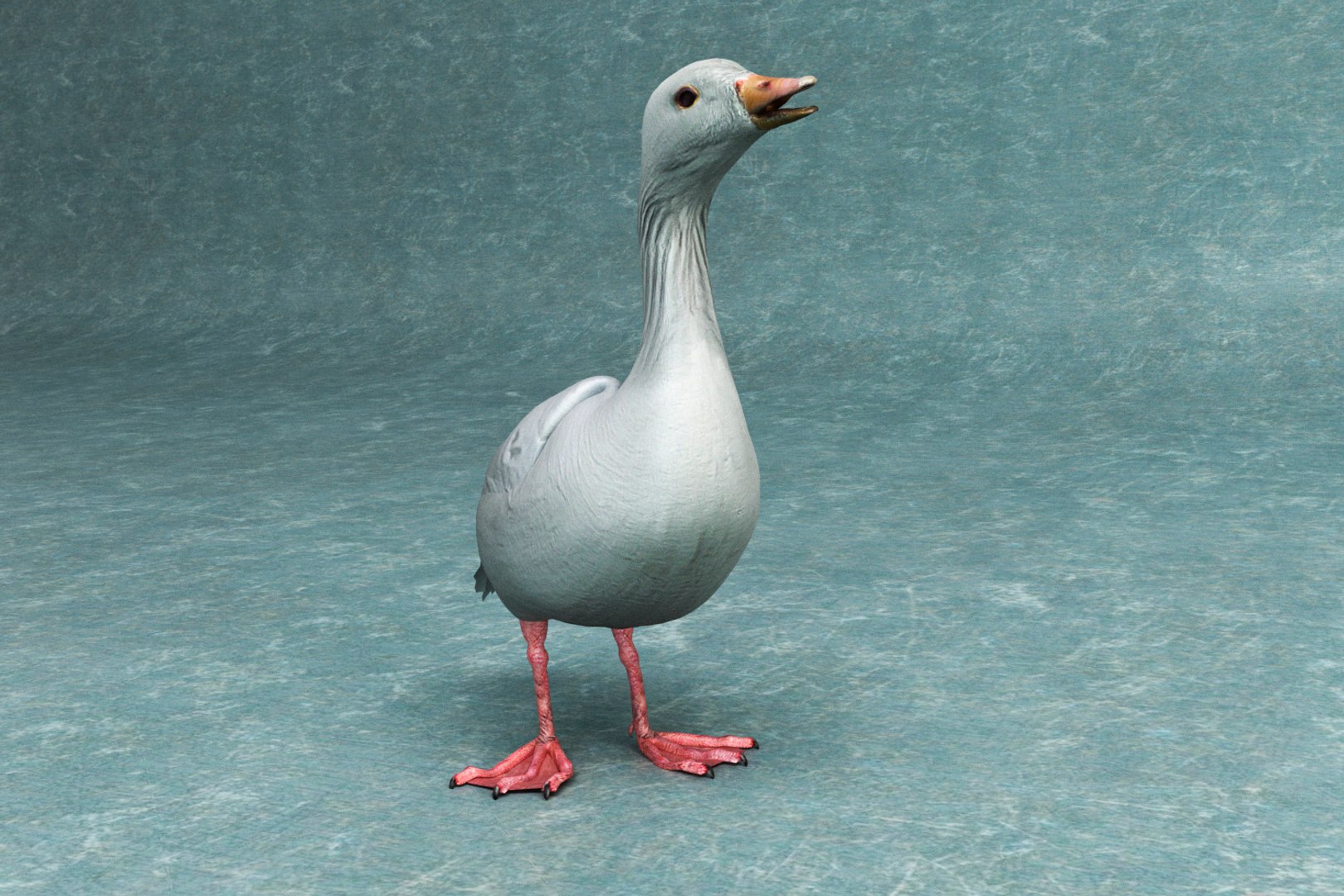 3D goose rigged - TurboSquid 1418535