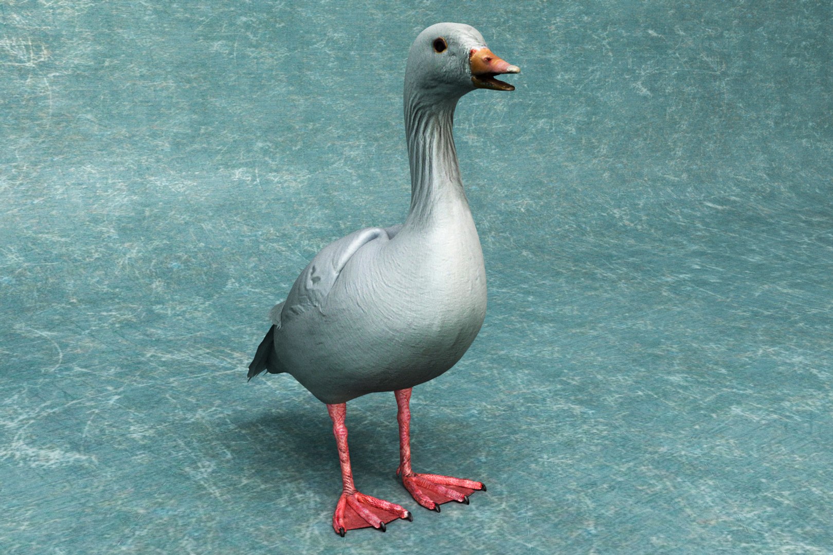 3D goose rigged - TurboSquid 1418535