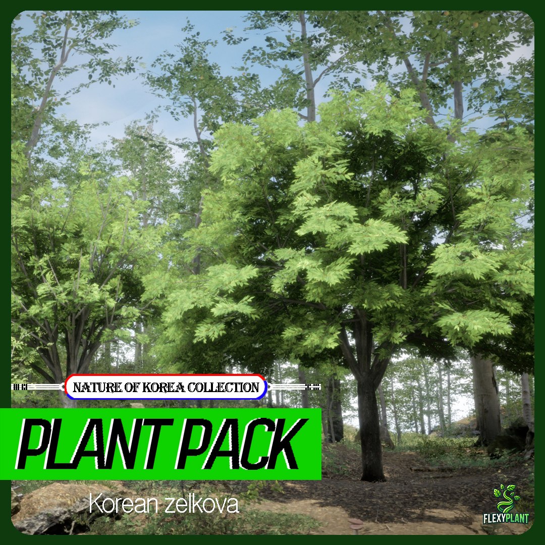 4 Realistic Korean Zelkova Tree Model II LOD II Game Ready Model ...
