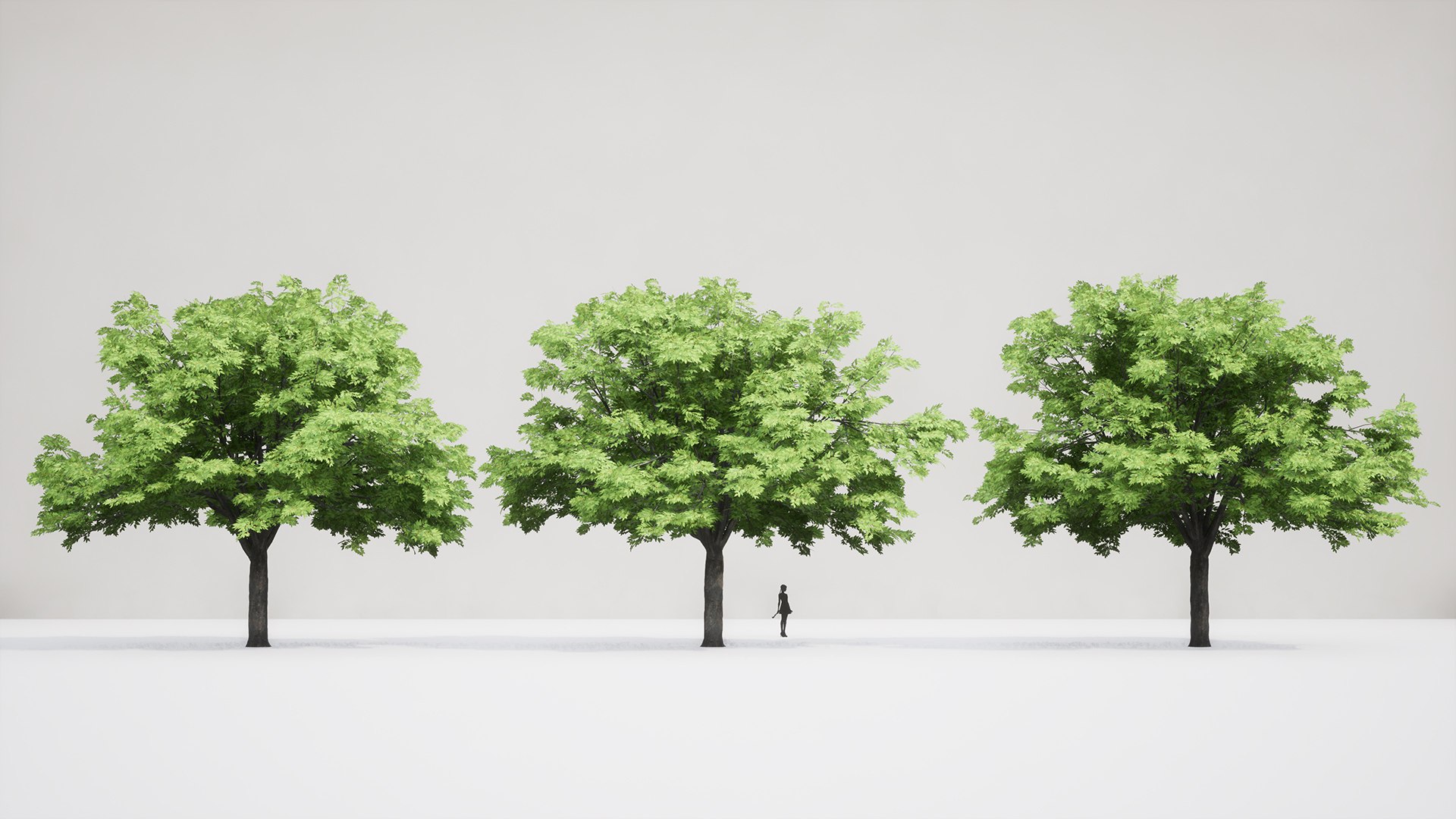 4 Realistic Korean Zelkova Tree Model II LOD II Game Ready Model ...