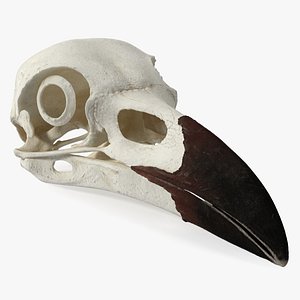 Download Free & Premium Nature 3D Models | TurboSquid