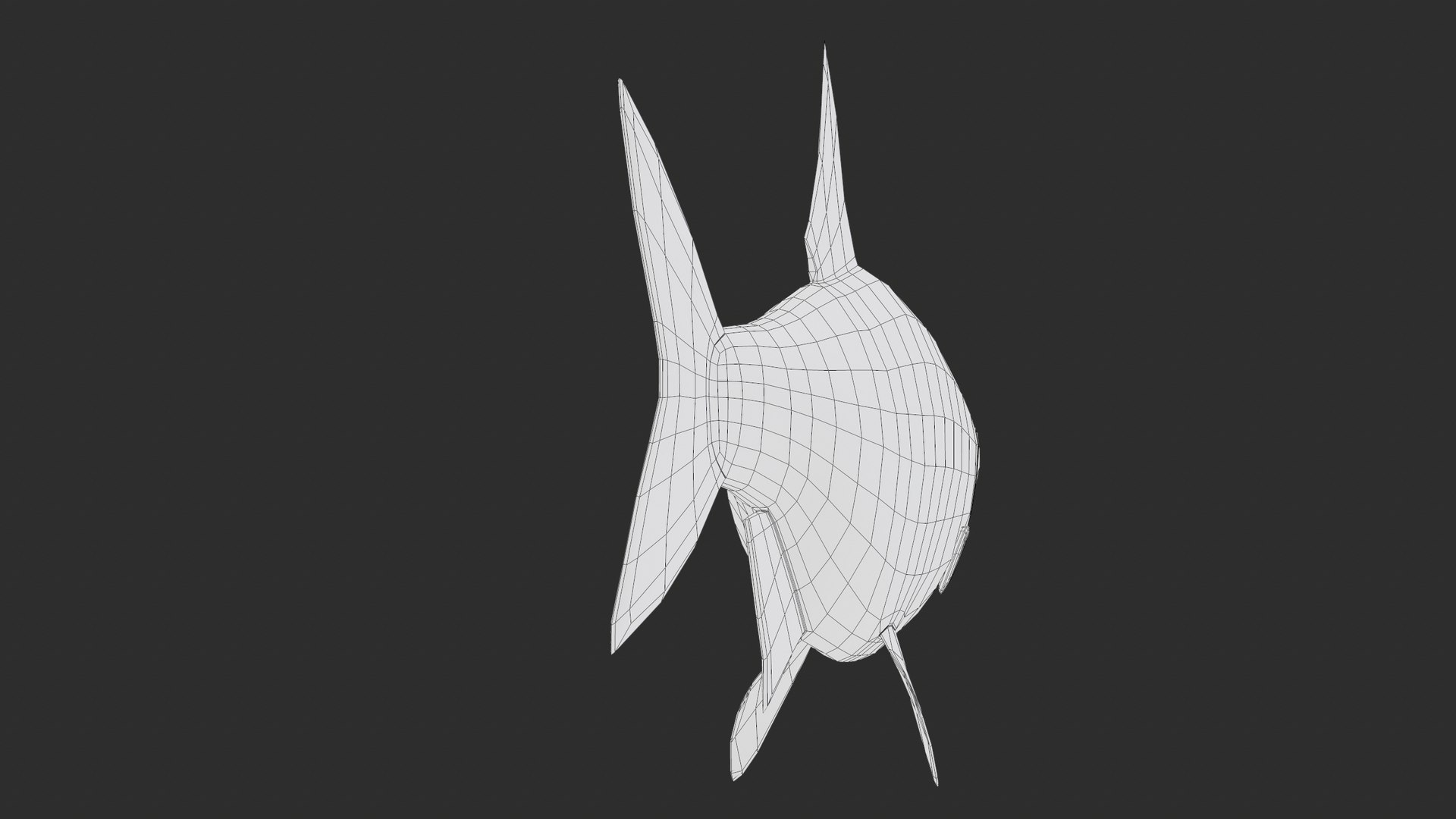 3D Fish Rudd Animated PBR - TurboSquid 2088323