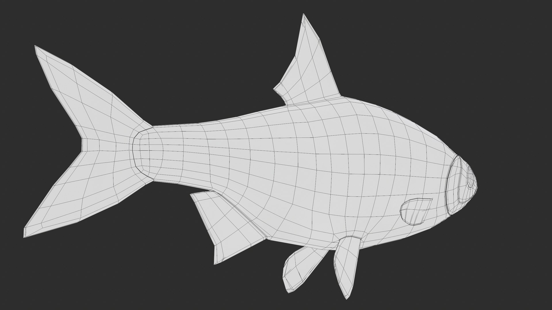 3D Fish Rudd Animated PBR - TurboSquid 2088323