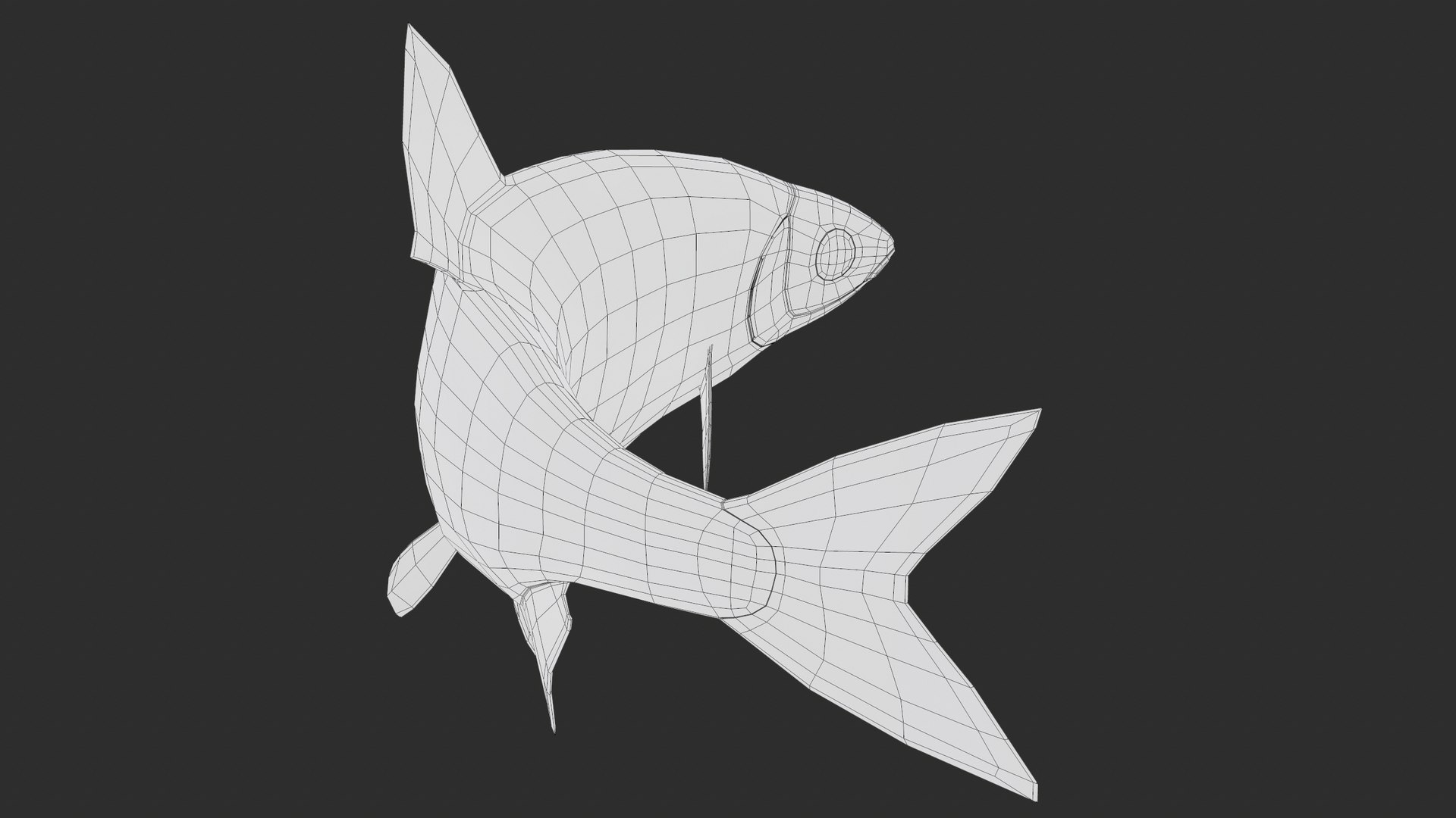 3D Fish Rudd Animated PBR - TurboSquid 2088323