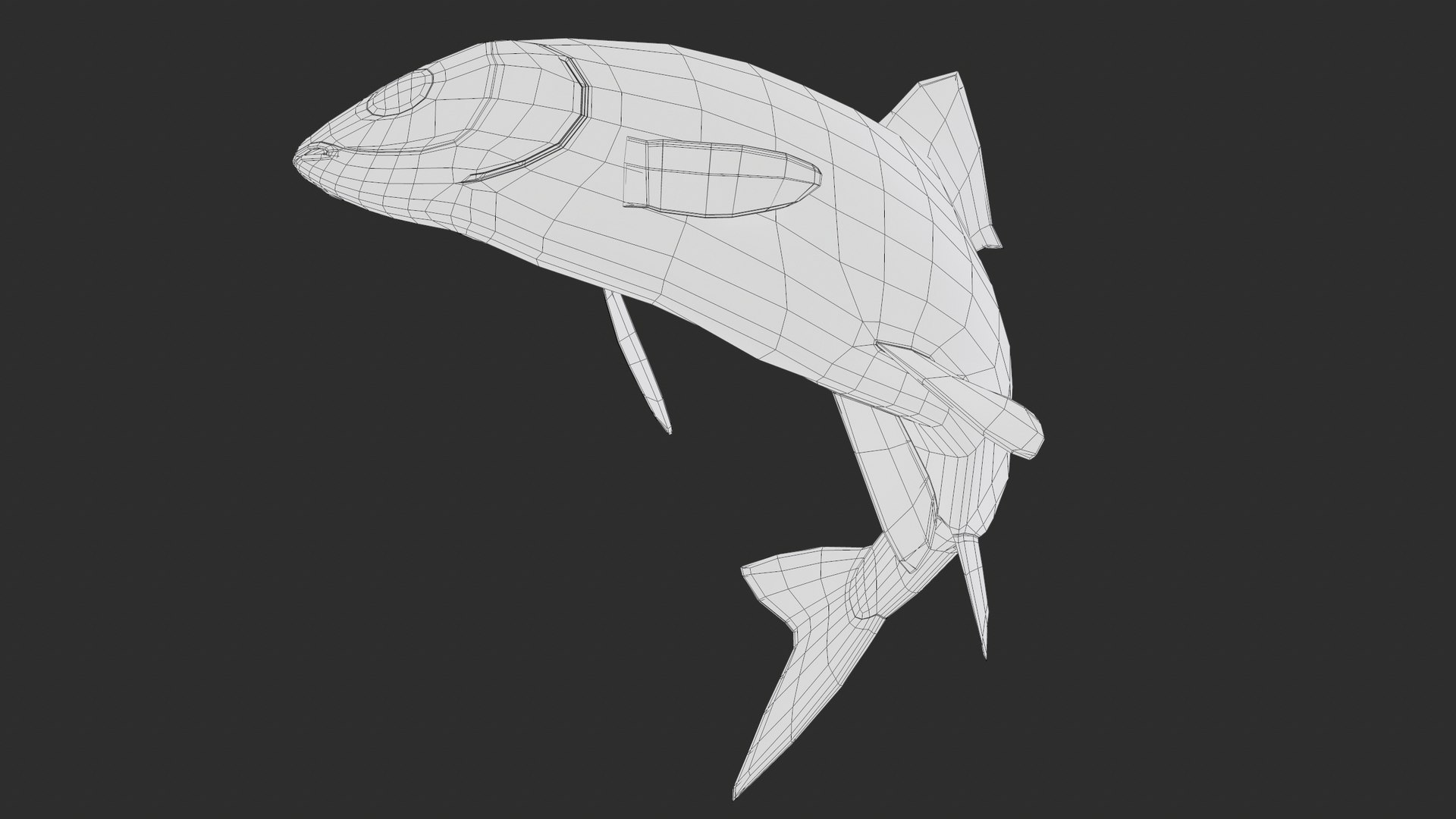 3D Fish Rudd Animated PBR - TurboSquid 2088323