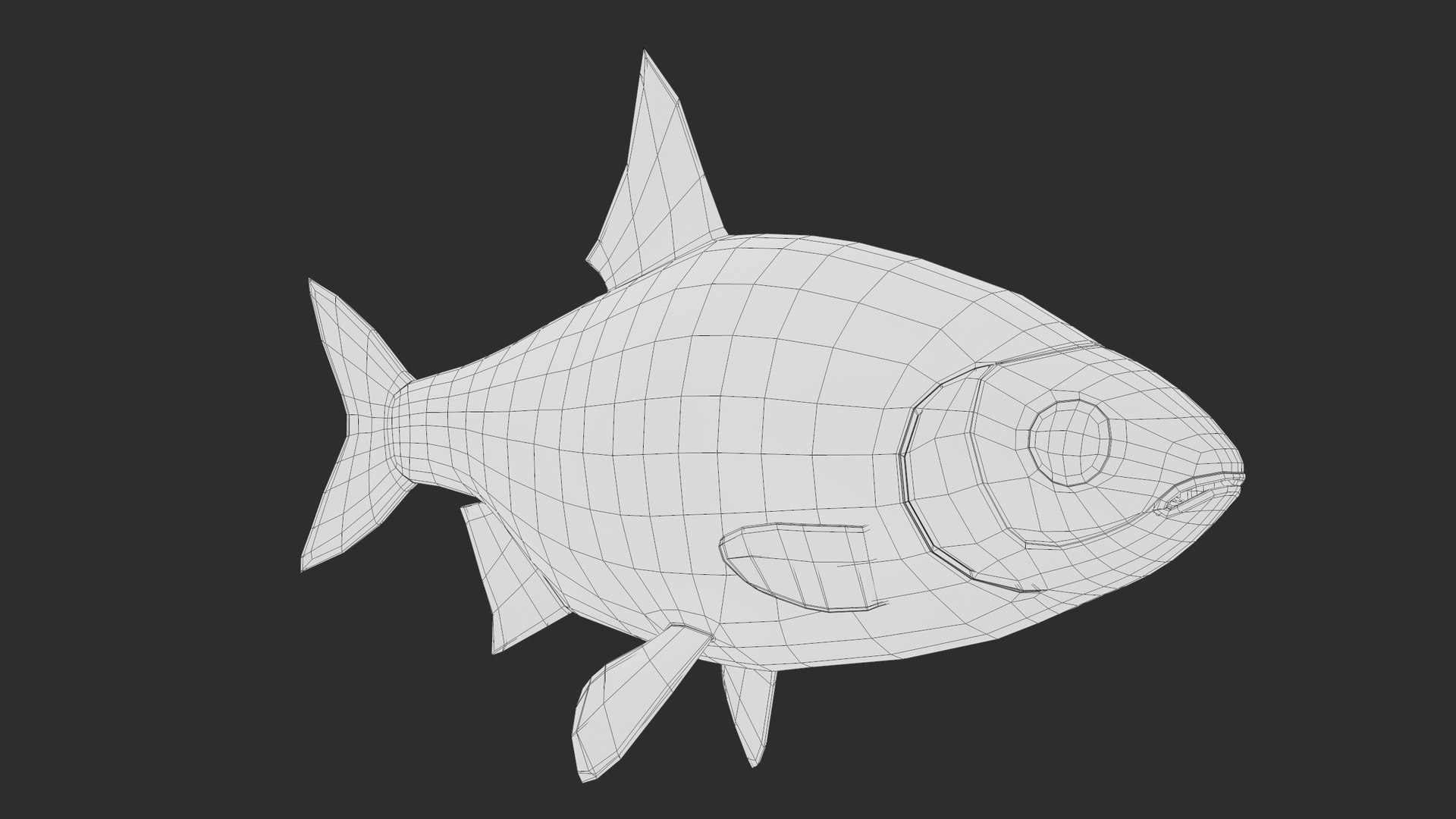 3D Fish Rudd Animated PBR - TurboSquid 2088323