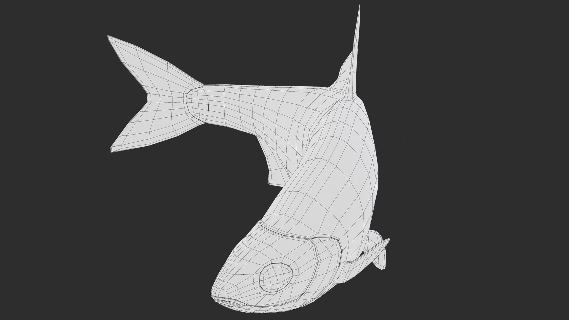 3D Fish Rudd Animated PBR - TurboSquid 2088323