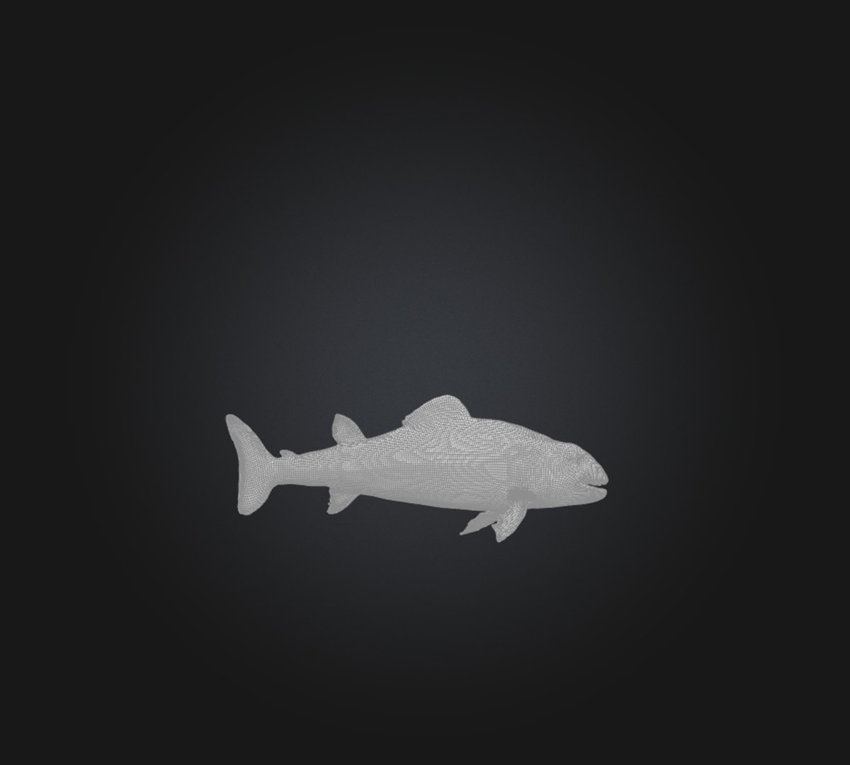 3D Model Agnatha Fish - TurboSquid 2284818