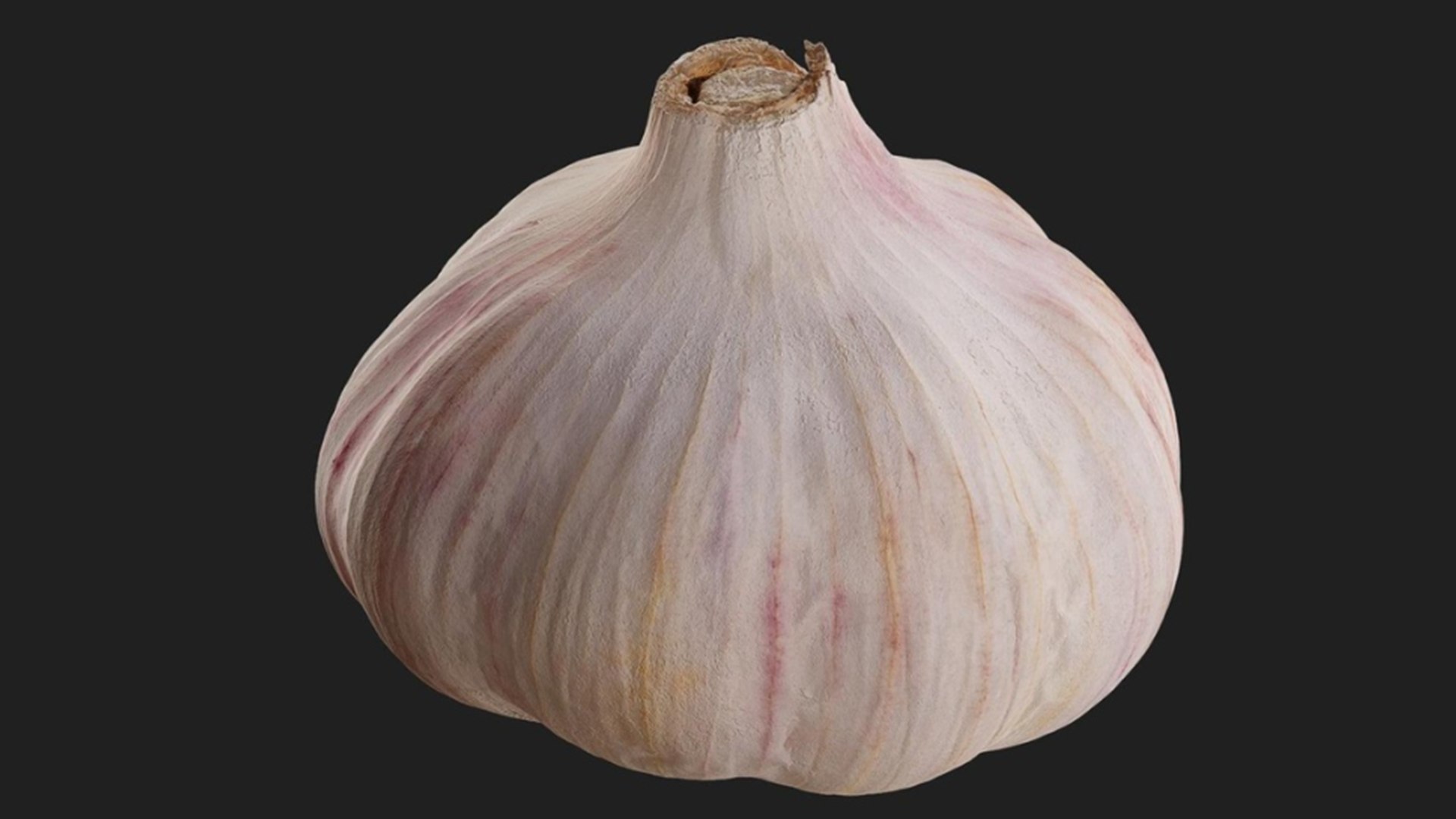 3D Garlic Model - TurboSquid 2432755