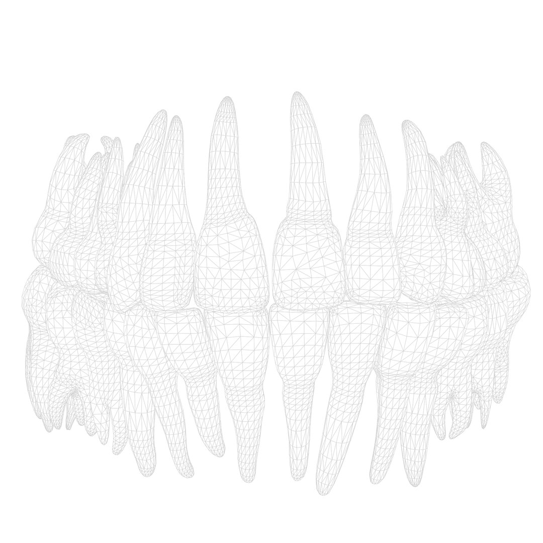 Human Tooth 3D Model - TurboSquid 1808726