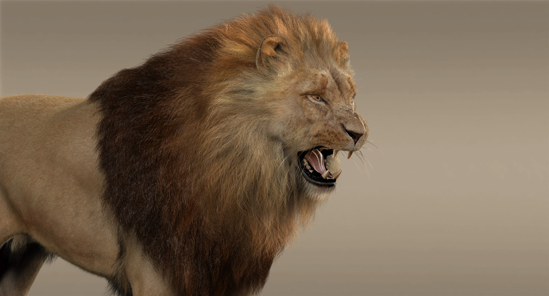 Maya Lion Rigged Fur