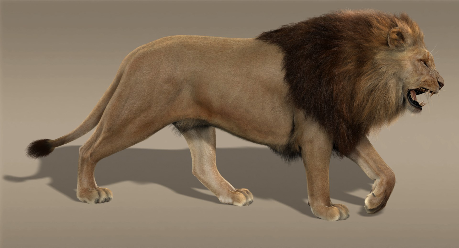 Maya Lion Rigged Fur