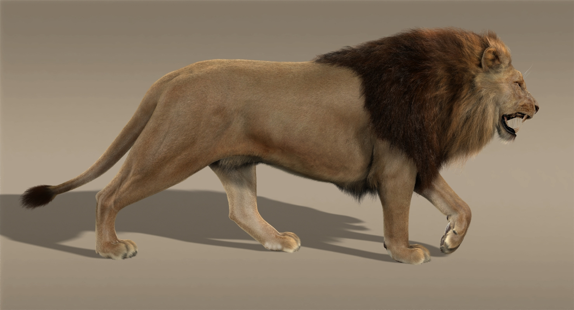 Maya Lion Rigged Fur