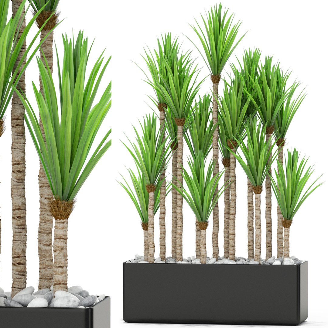 3D plants 383 model - TurboSquid 1656696