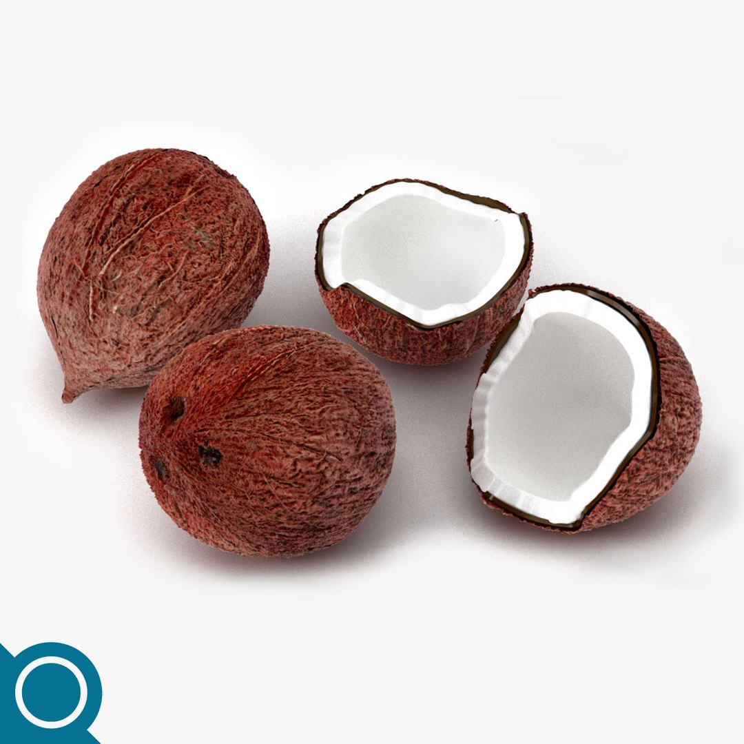 Coco fruit 3D model - TurboSquid 1158171