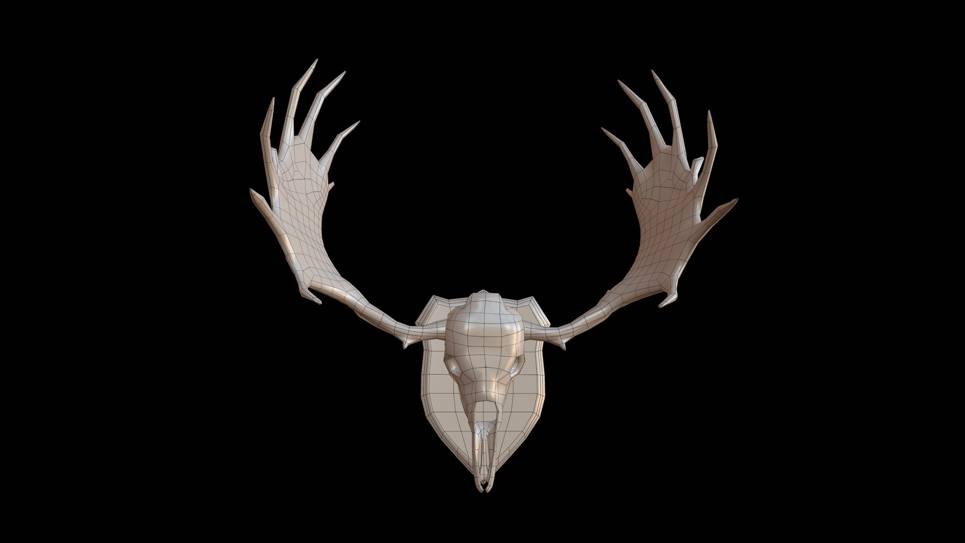 Moose Skull 3d Model