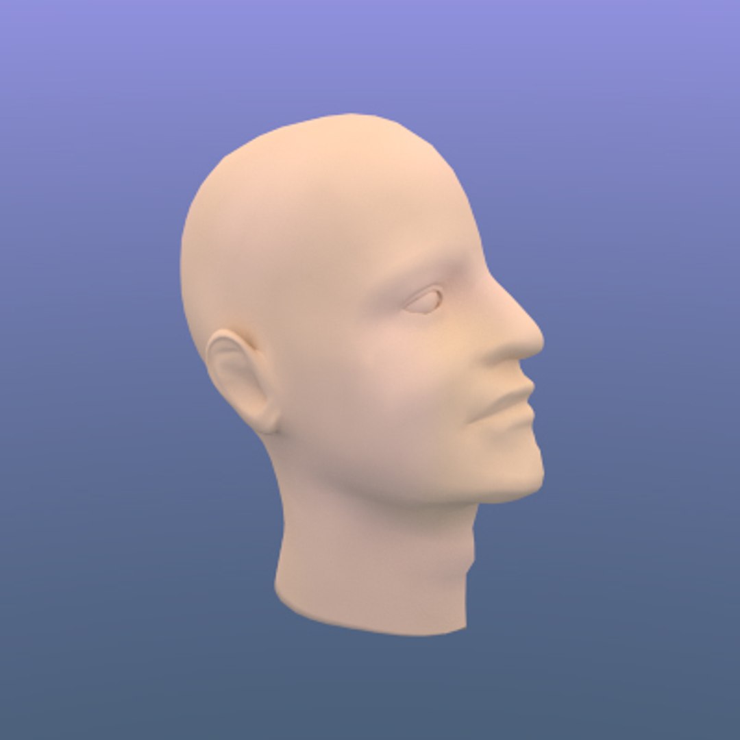 Head Cutaway 3d Model