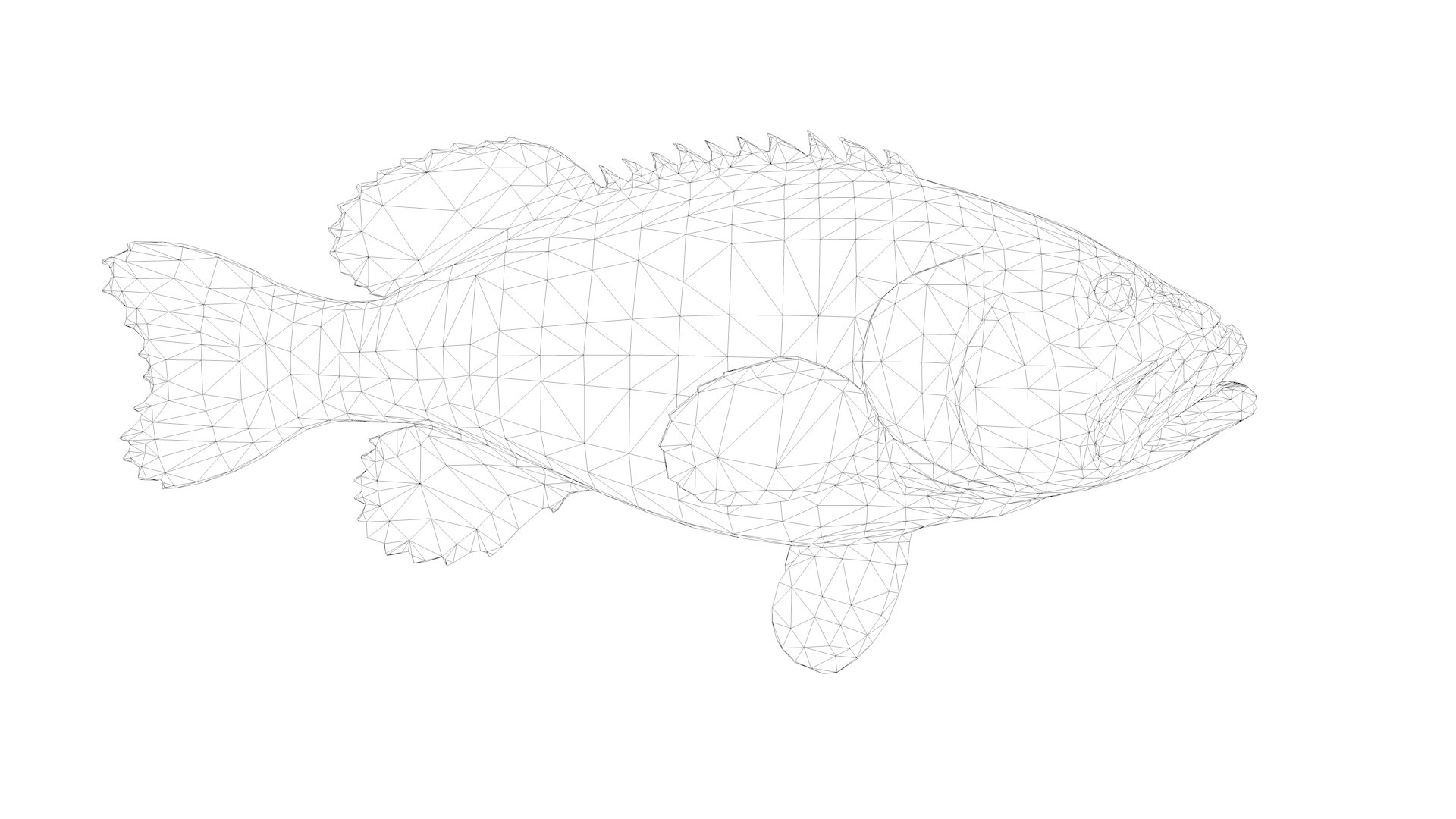 3in1 Grouper Fish Rigged And Animated 3D Model - TurboSquid 2335530