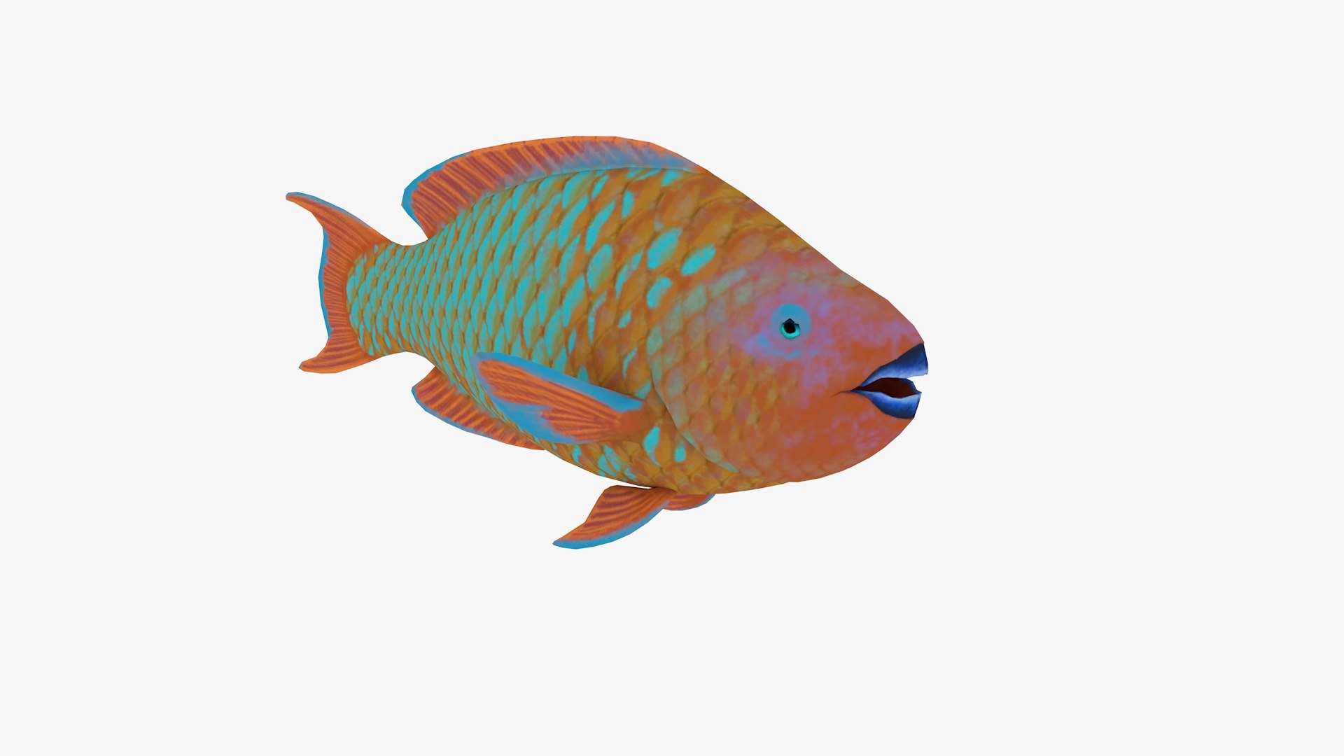 3in1 Grouper Fish Rigged And Animated 3D Model - TurboSquid 2335530