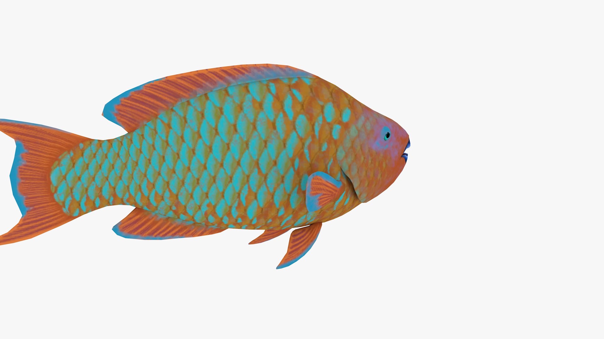 3in1 Grouper Fish Rigged And Animated 3D Model - TurboSquid 2335530