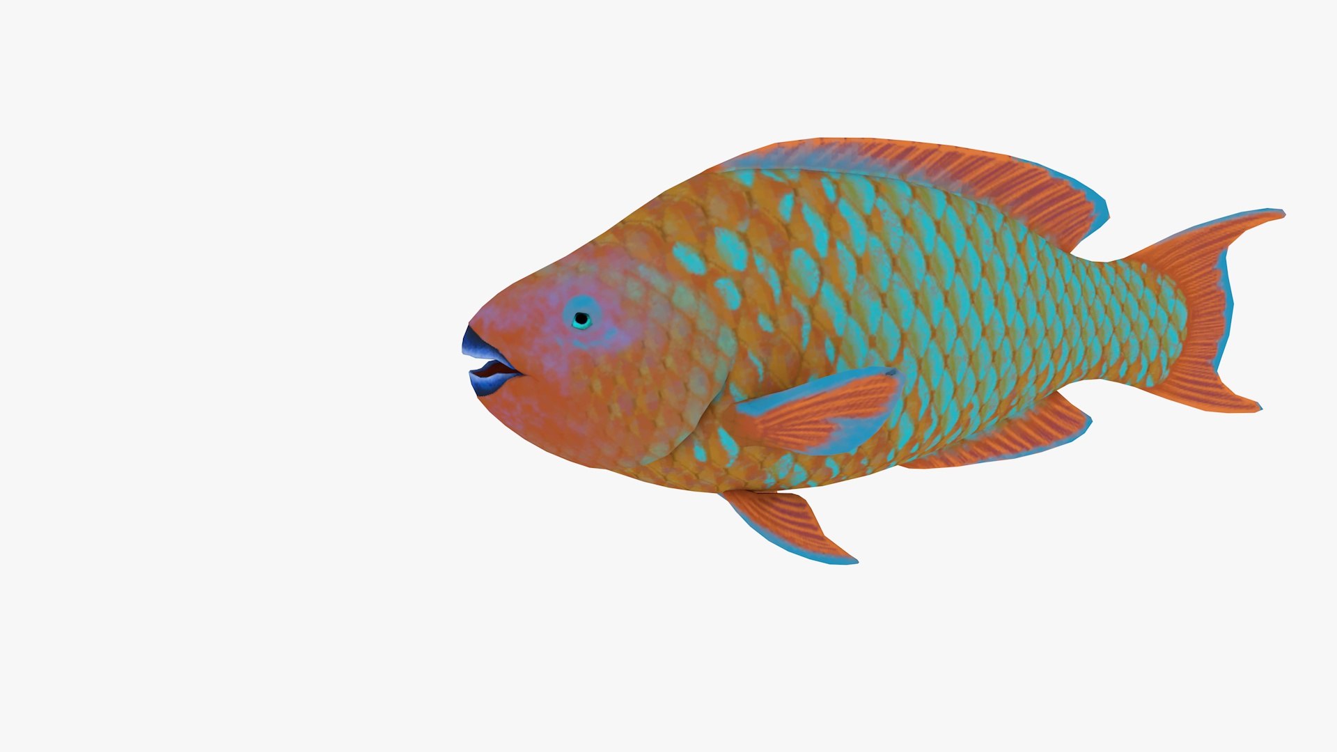 3in1 Grouper Fish Rigged And Animated 3D Model - TurboSquid 2335530