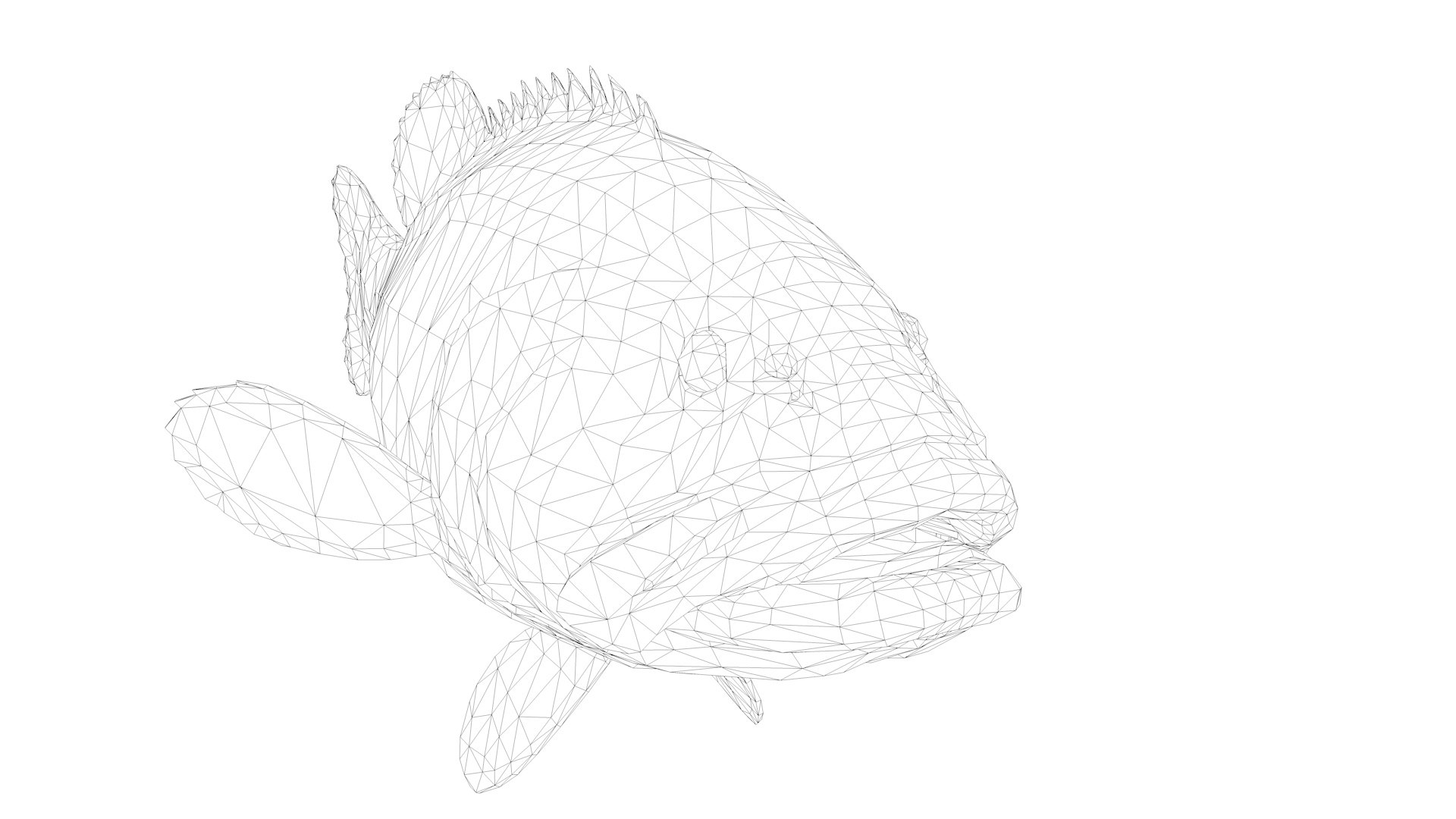 3in1 Grouper Fish Rigged And Animated 3D Model - TurboSquid 2335530