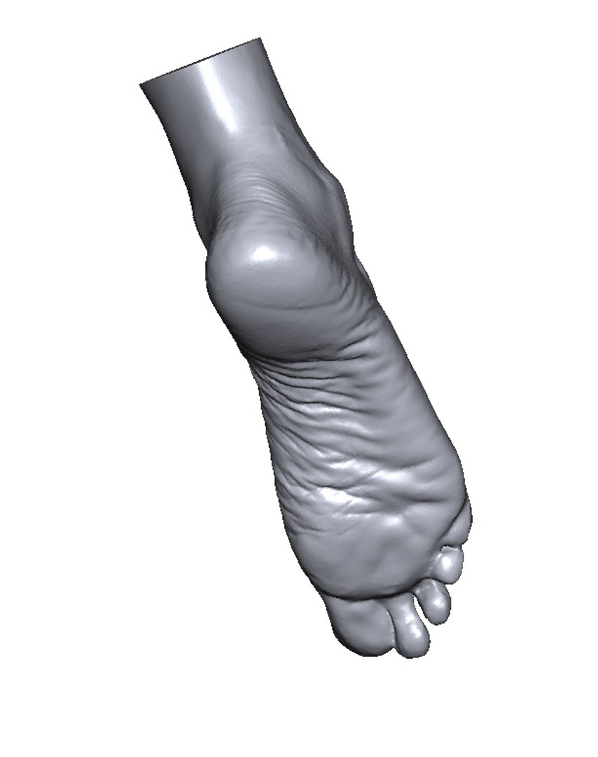 Scan Foot Model - TurboSquid 1348824