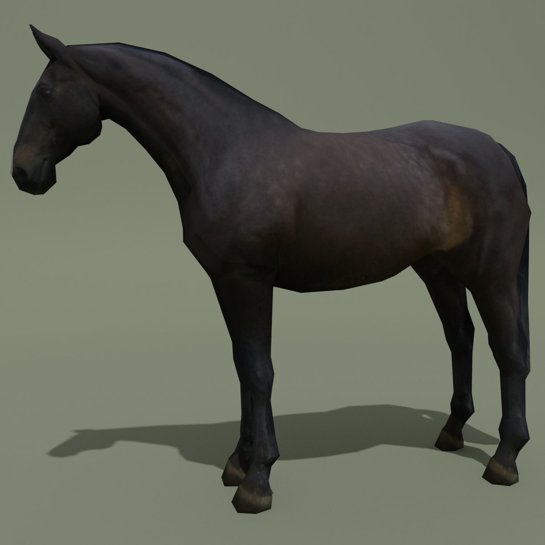3d Model Horse