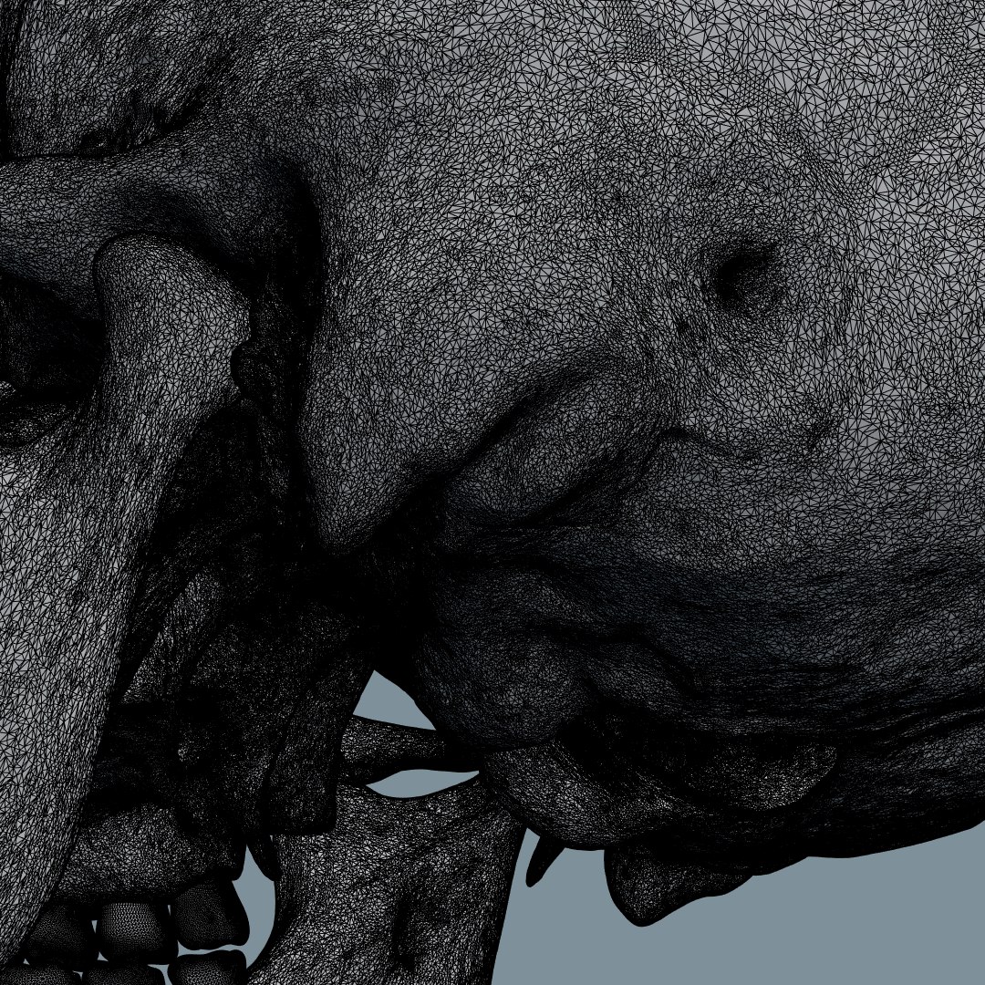 Human skull 3D model - TurboSquid 1264326