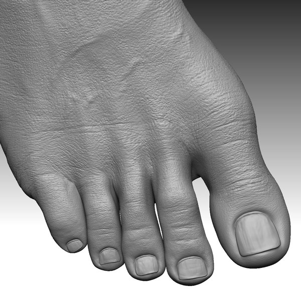 Free 3D Foot Models | TurboSquid
