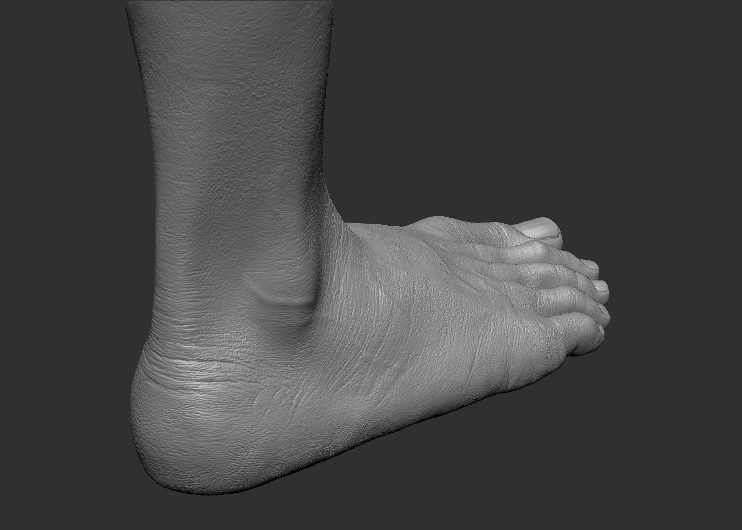 Foot Realistic 3D Model - TurboSquid 1219966