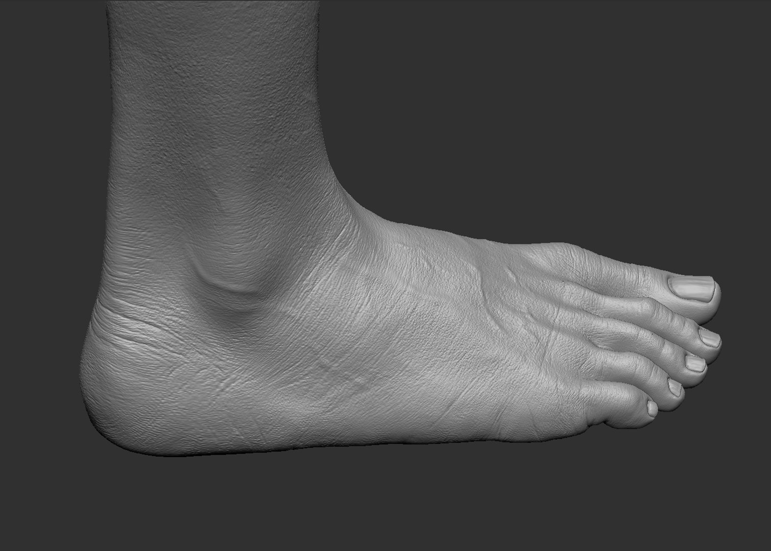 Foot Realistic 3D Model - TurboSquid 1219966