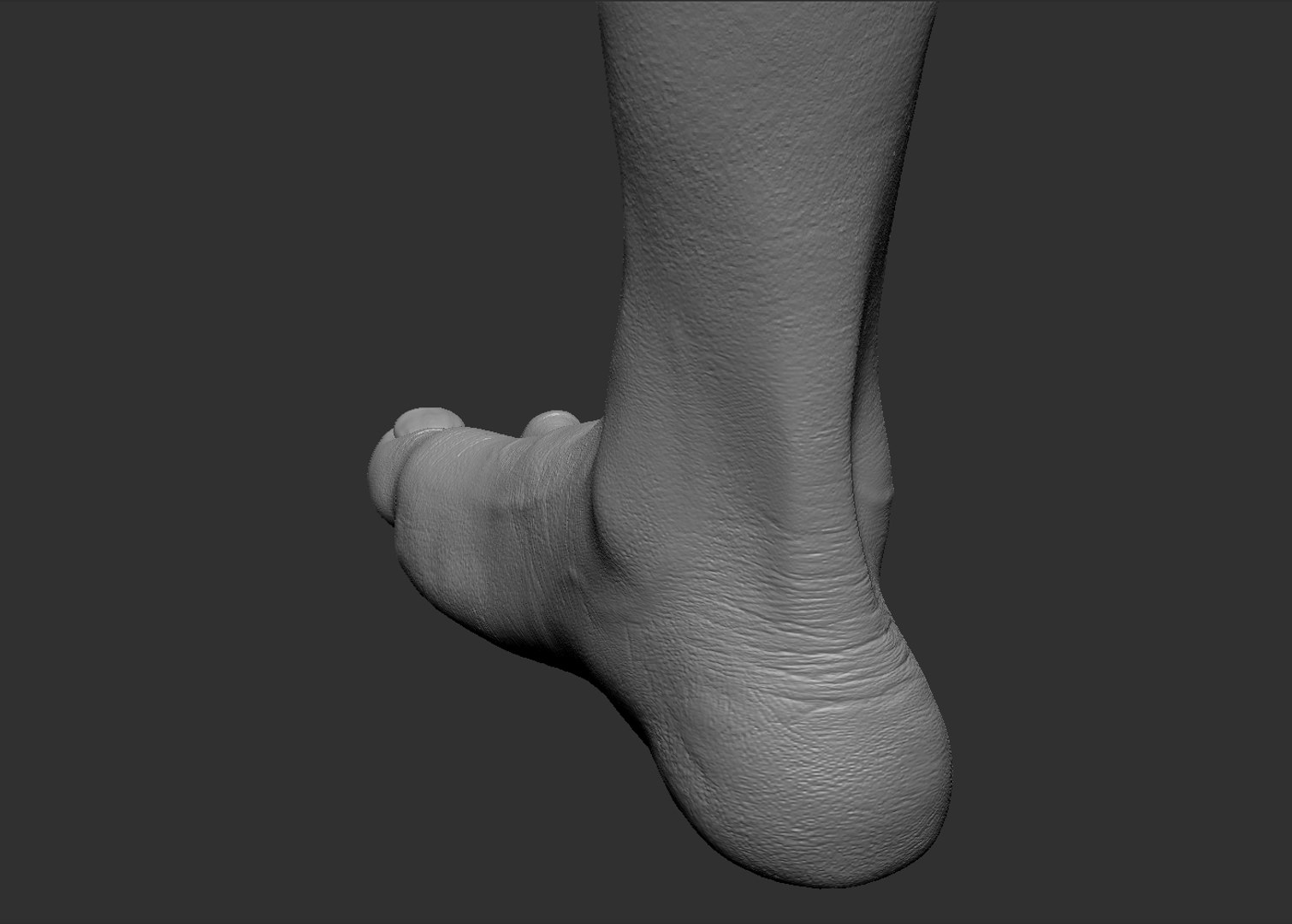 Foot Realistic 3D Model - TurboSquid 1219966