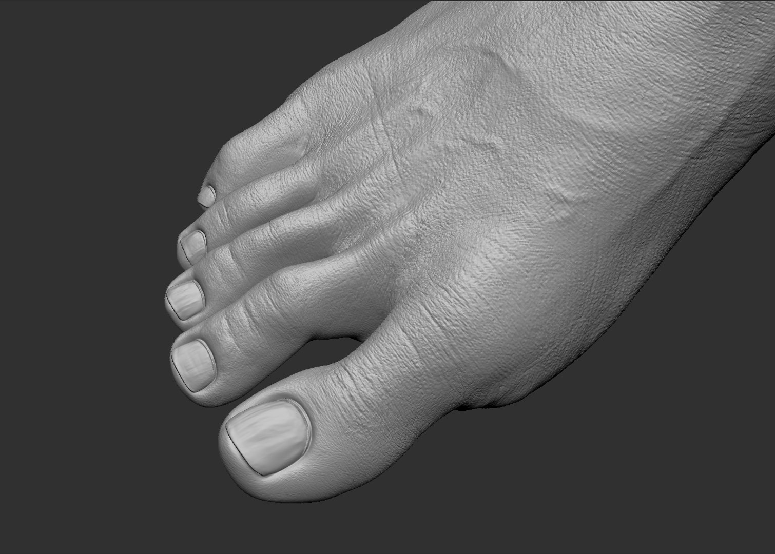 Foot Realistic 3D Model - TurboSquid 1219966