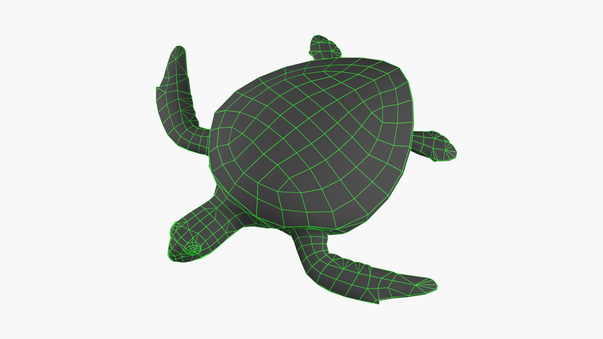 3D Turtle - TurboSquid 2370624